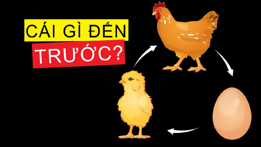 Con gà có trước hay quả trứng có trước? Câu hỏi kinh điển đã có đáp án