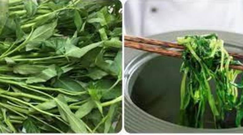 Mua rau muống chỉ cần nhìn đúng 1 điểm: Biết ngay rau sạch rau 'bẩn ...