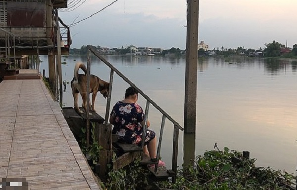 Được cứu sống sau khi bị lạc mất chủ nhưng ngày nào chú chó cũng ra bến ...