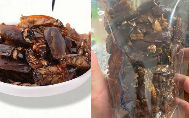 Rợn người với snack gián sấy khô, được quảng cáo thơm ngon, giàu dinh dưỡng