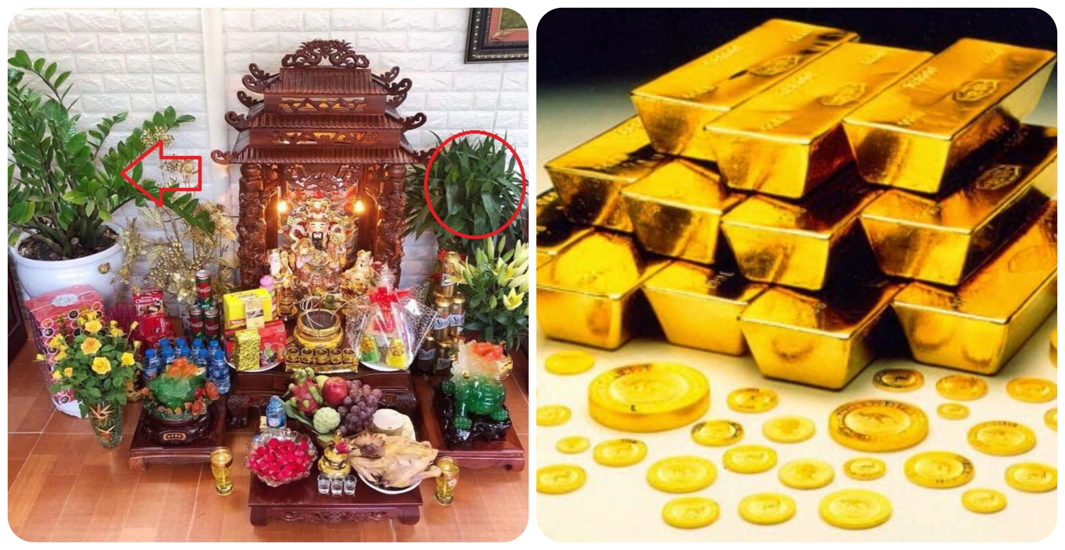 Vô tình đặt 4 cây này lên bàn thờ: Ai ngờ gia chủ lộc khí phừng phừng ...