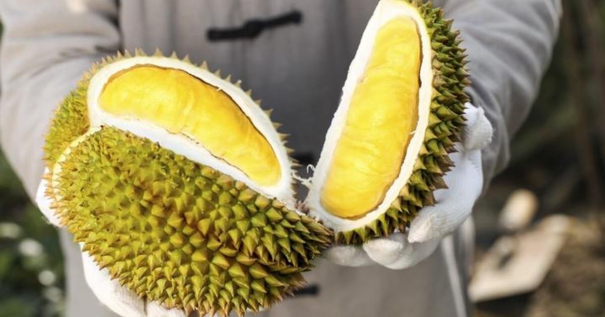 Người bán mách chiêu chọn sầu riêng: Nhìn đúng điểm này là biết quả nào ...