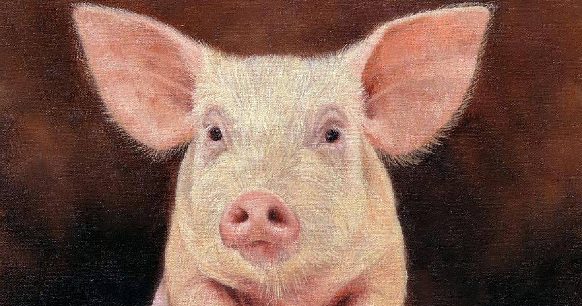 Đúng 10 ngày tới, Trời cho cát tường: 3 tuổi đón điềm lành, đỏ cả tình ...