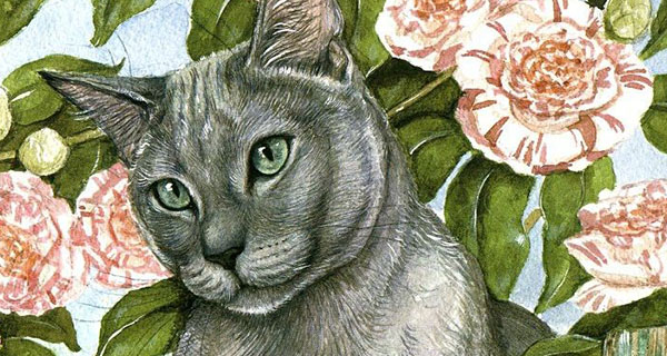 Tài đức vẹn toàn: 4 tuổi sinh ra được Phật Bà che chở, ăn ở hiền lành ...