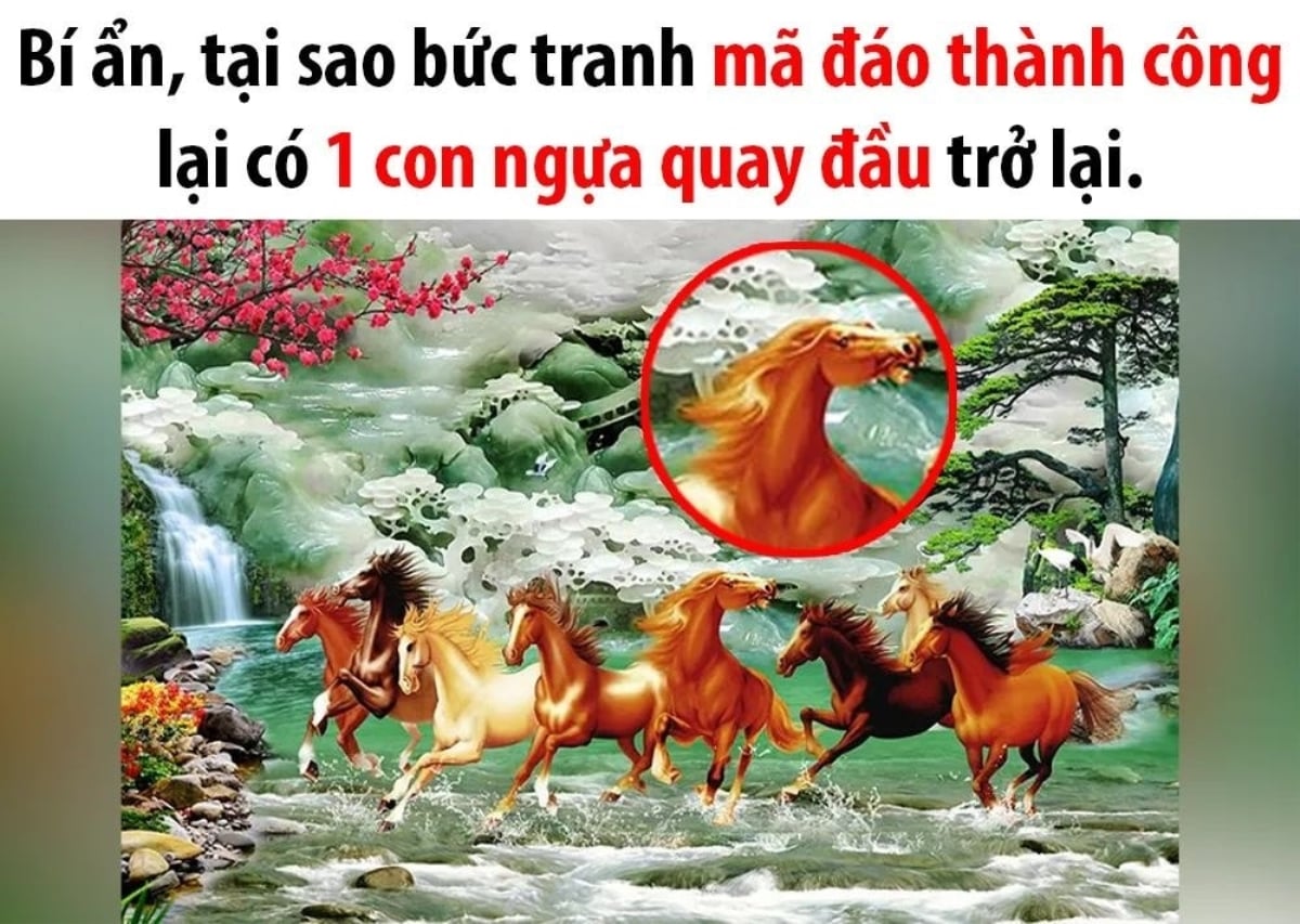 Bức tranh phong thủy “Mã đáo thành công” luôn có một con ngựa quay đầu ...