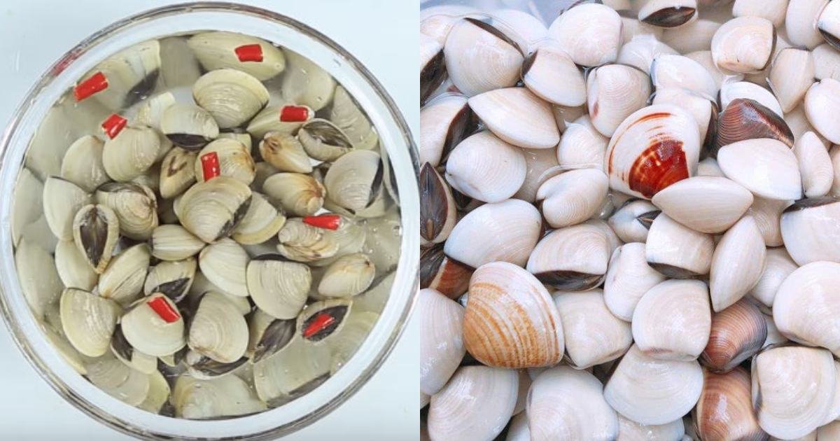 Ngâm ngao đừng dùng nước lã, thêm thứ này ngao nhả cát nhanh, thịt tươi ...