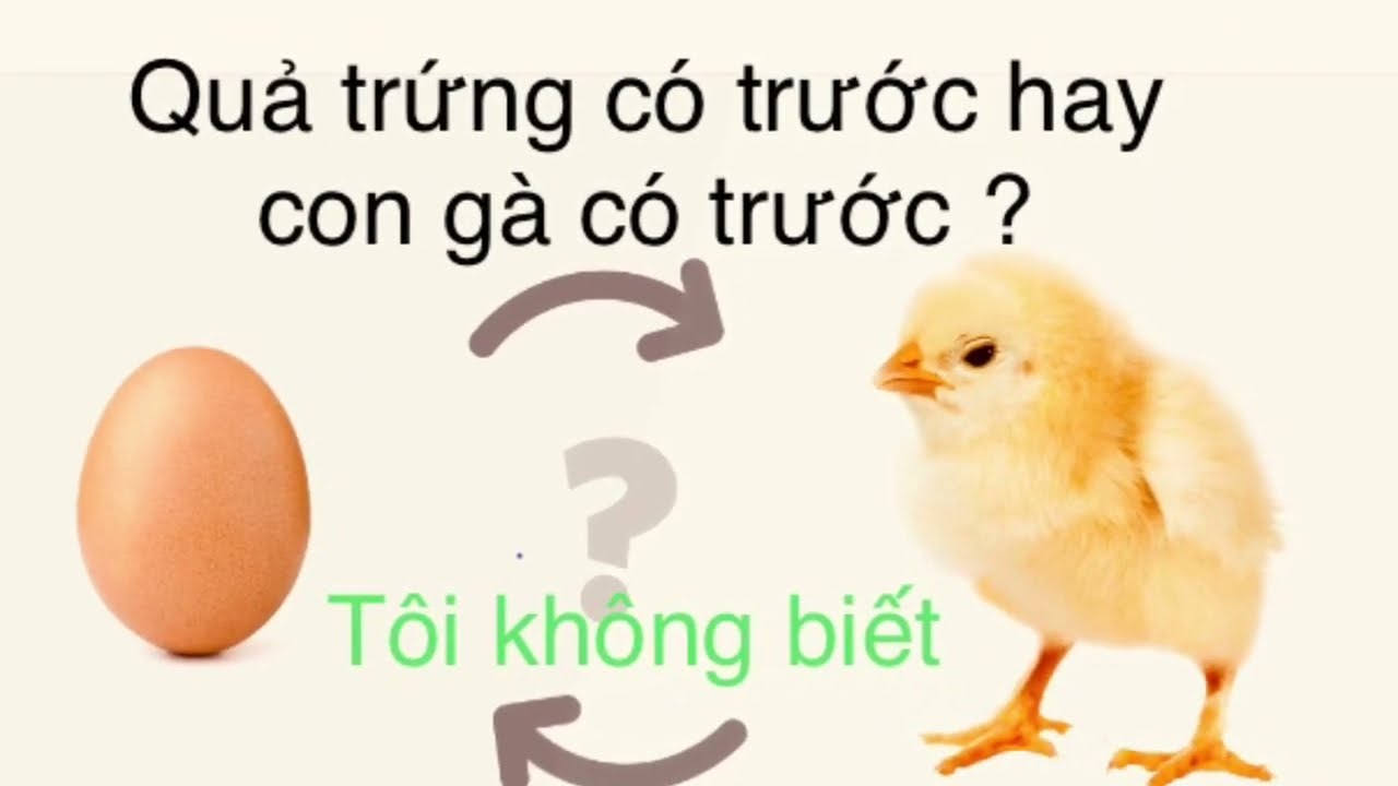 Quả trứng có trước hay con gà có trước: Đây chính là câu trả lời chính ...