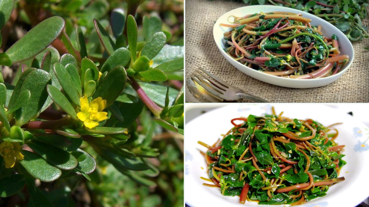 4 loại rau mọc dại ở khắp các vùng quê nhưng được ví là 'rau trường thọ'