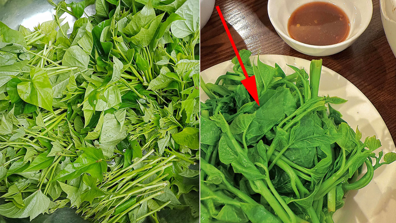 3 loại rau ngon hơn thịt, bổ hơn yến, cả năm không cần phun thuốc: Thấy ...