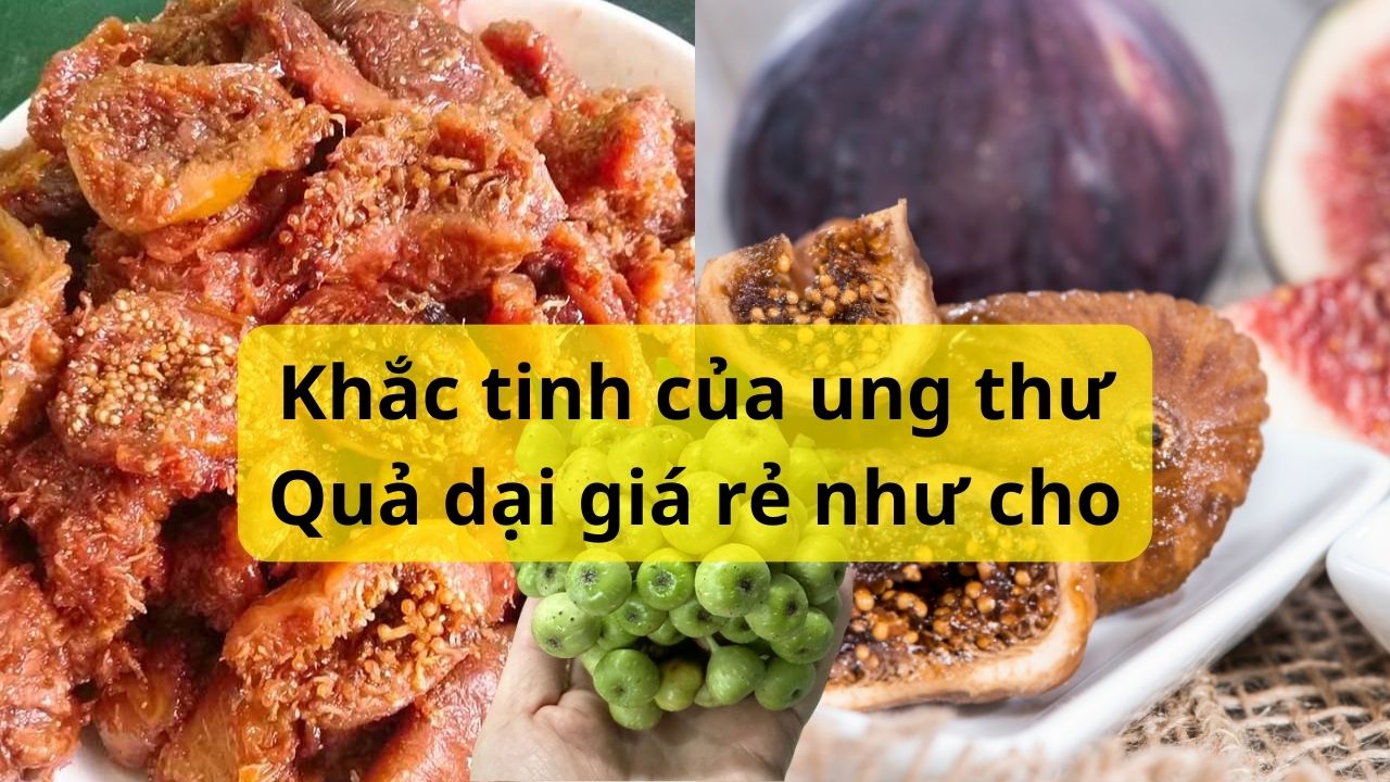 Quả dại mọc đầy ở Việt Nam là khắc tinh của ung thư lại cực giàu canxi ...