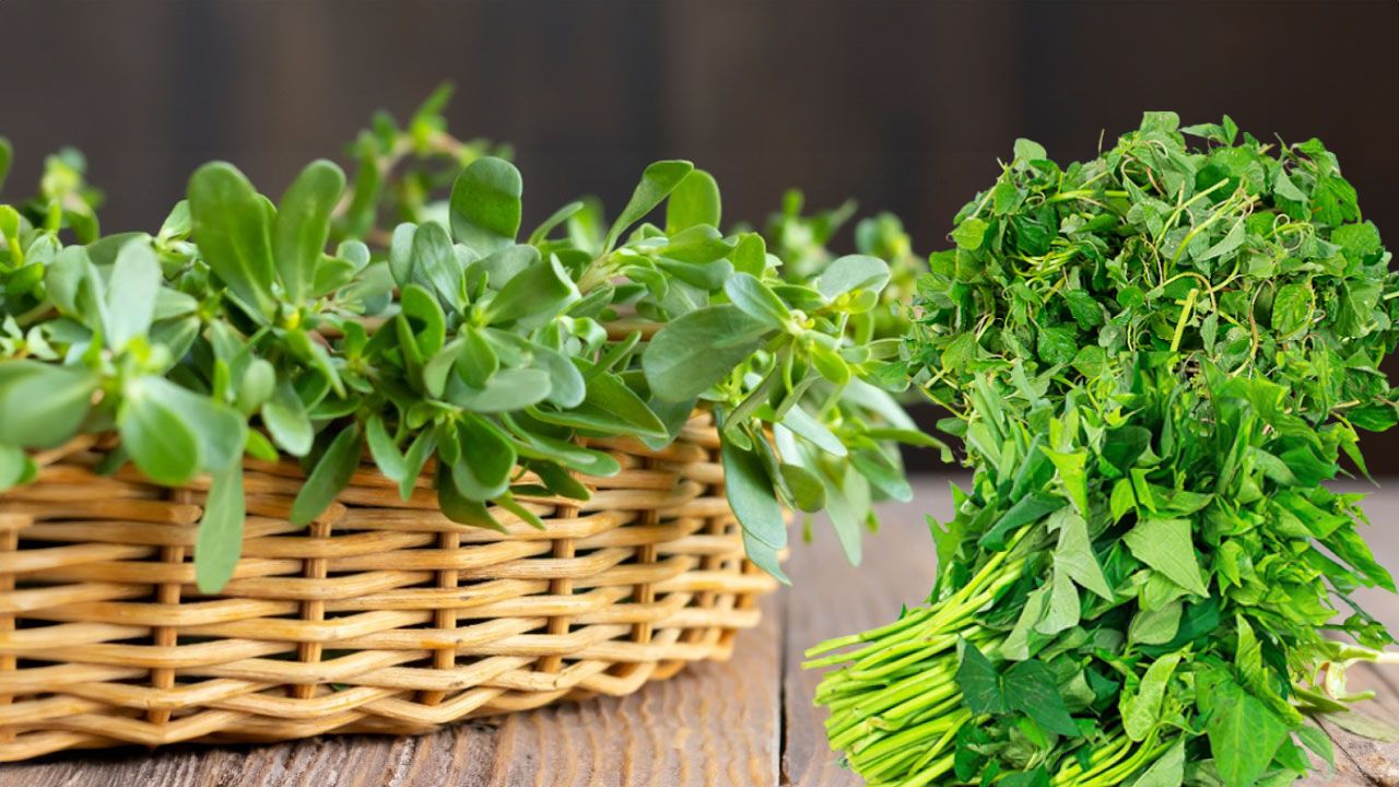 Những loại rau rẻ như cho nhưng không bao giờ bị phun thuốc lại được ...