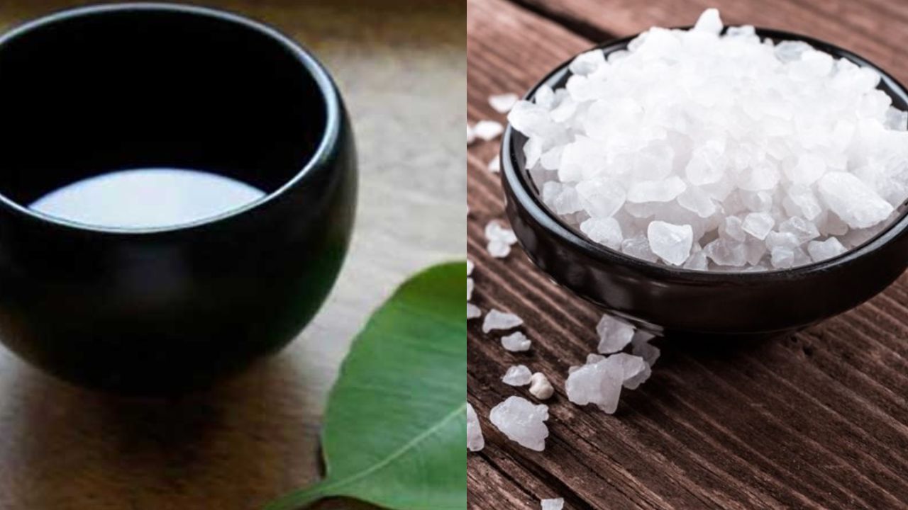 Người xưa dạy: Chỉ cần một bát muối và một bát nước làm đúng cách giúp ...