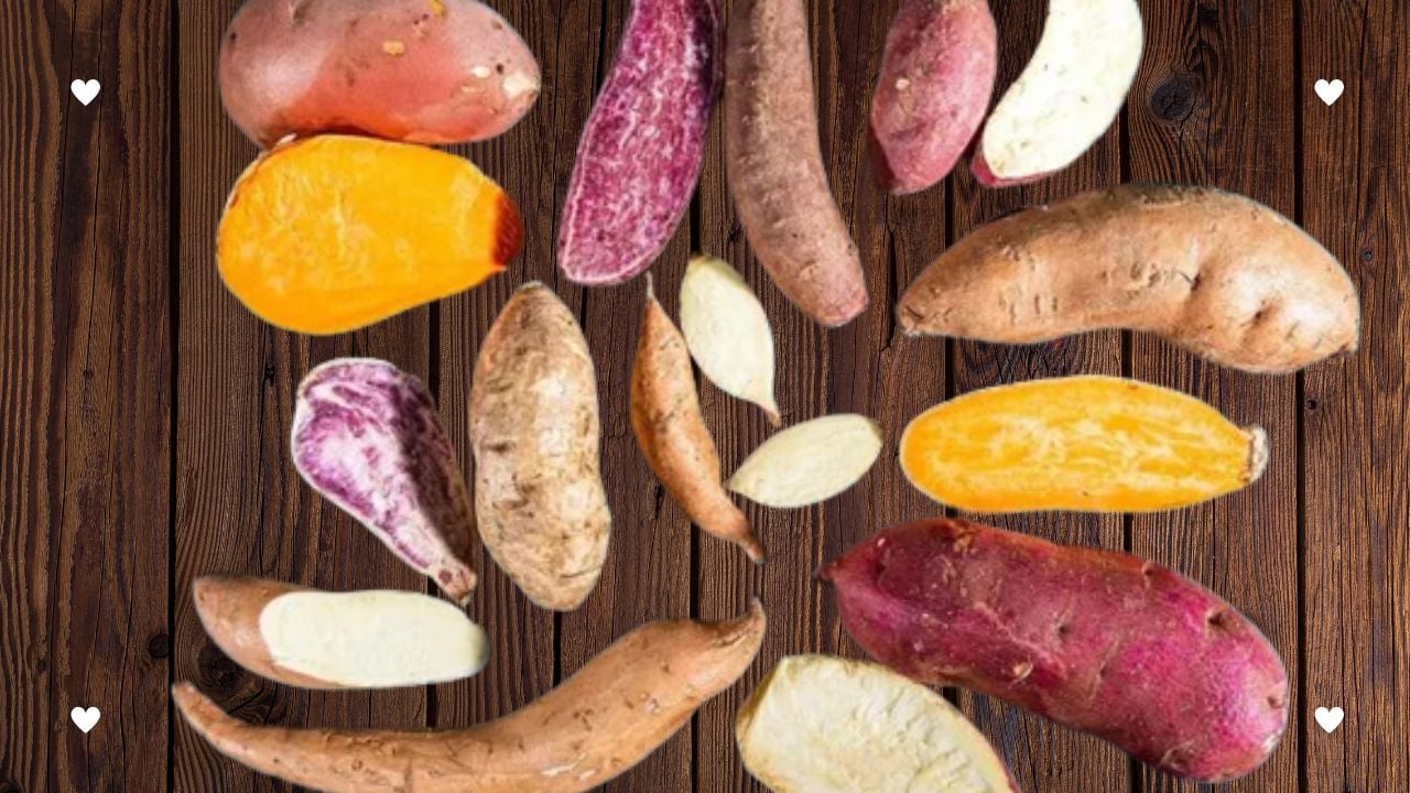 Mua khoai lang nên chọn củ màu tím hay khoai trắng, khoai vàng sẽ bổ ...