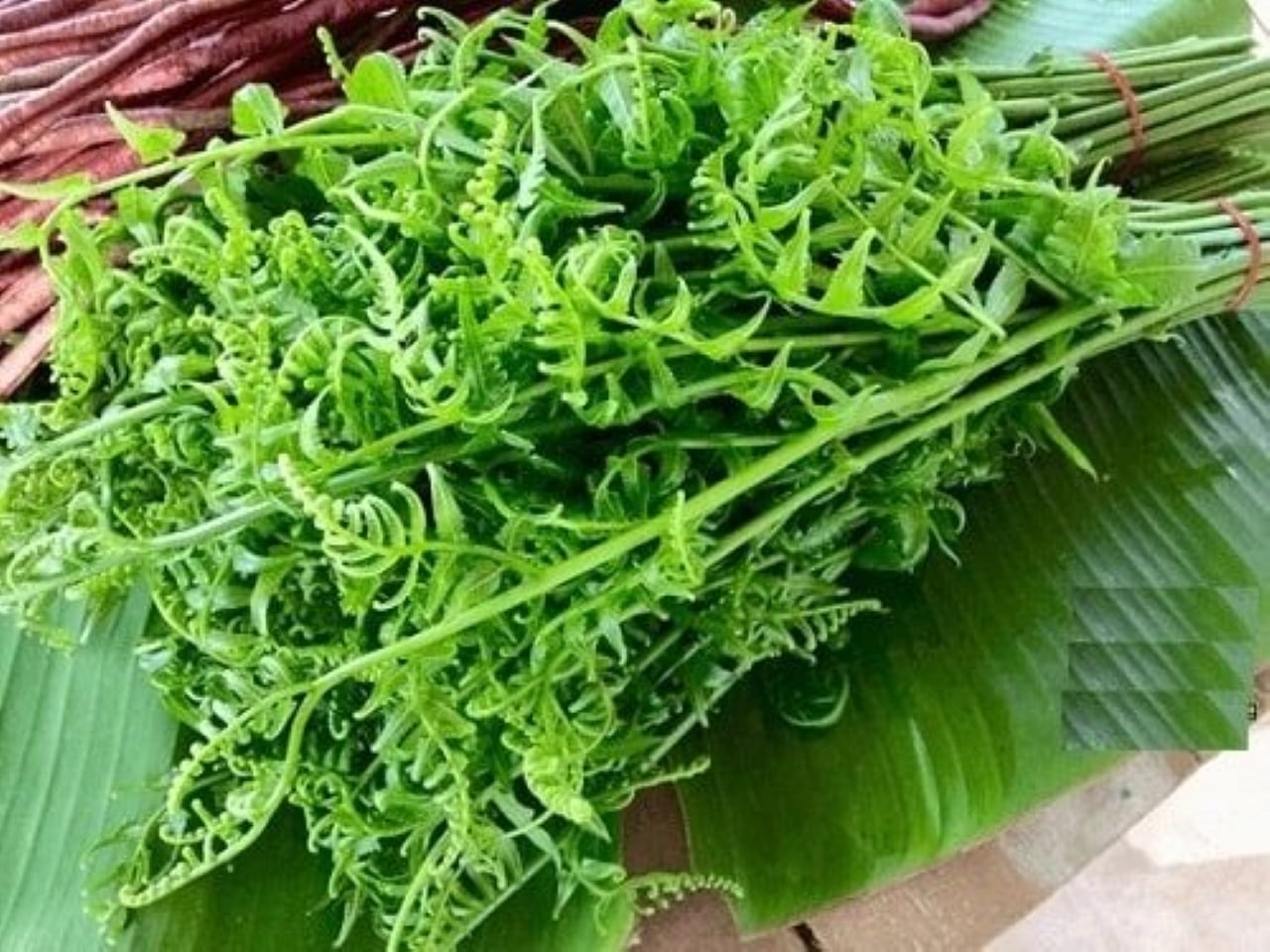 6 loại rau rừng ngon và phổ biến nhất, lại tốt cho sức khỏe