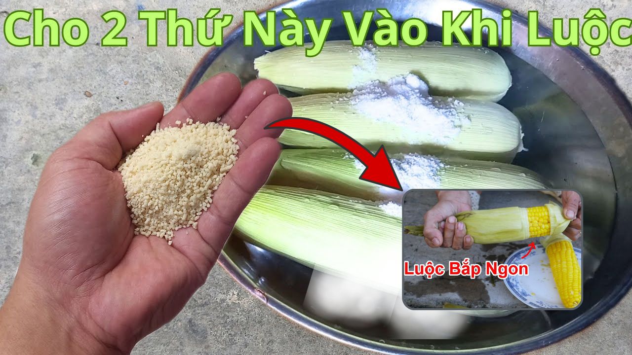 Luộc ngô chín đừng vớt ra ngay, thêm 1 thứ vào nồi: Ngô ngọt, dẻo lại ...
