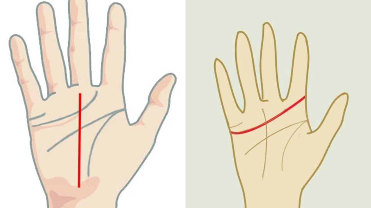 9 dấu hiệu trên lòng bàn tay cho thấy bạn là người thành công đến muộn ...