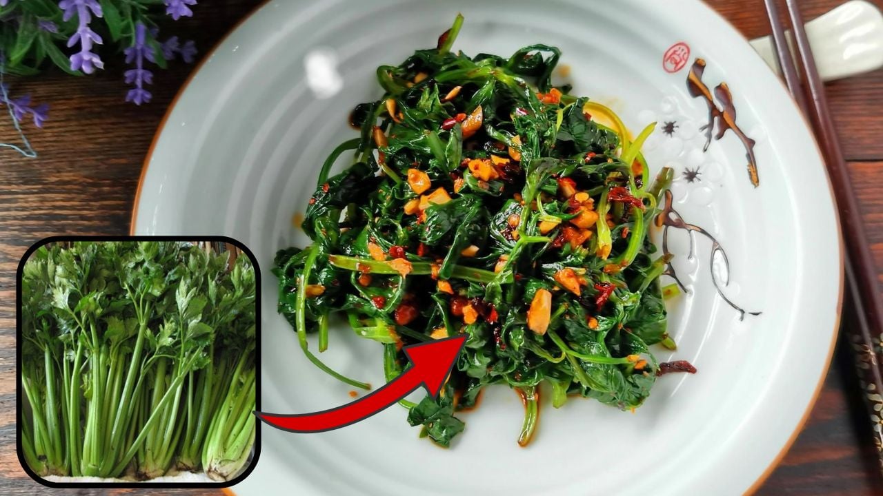 Loại rau là “khắc tinh” của bệnh K, vừa ngon vừa bổ, nhiều người cứ ...