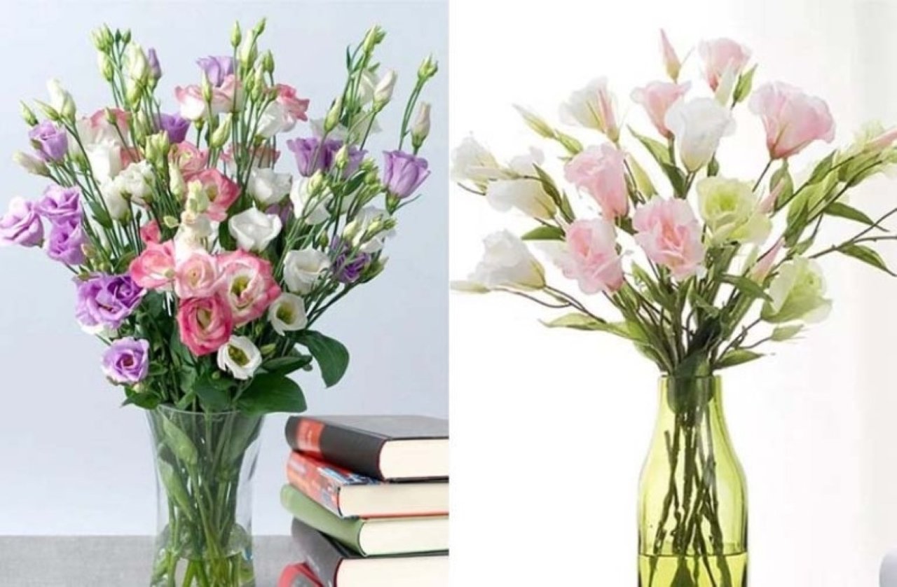 3 loài hoa may mắn trưng trong phòng khách, tài lộc sẽ ùn ùn kéo về