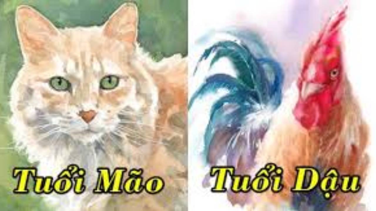 Hết hôm nay 31/5: 3 con giáp ăn lộc quan trên, đi Đông gom vàng đi Tây ...