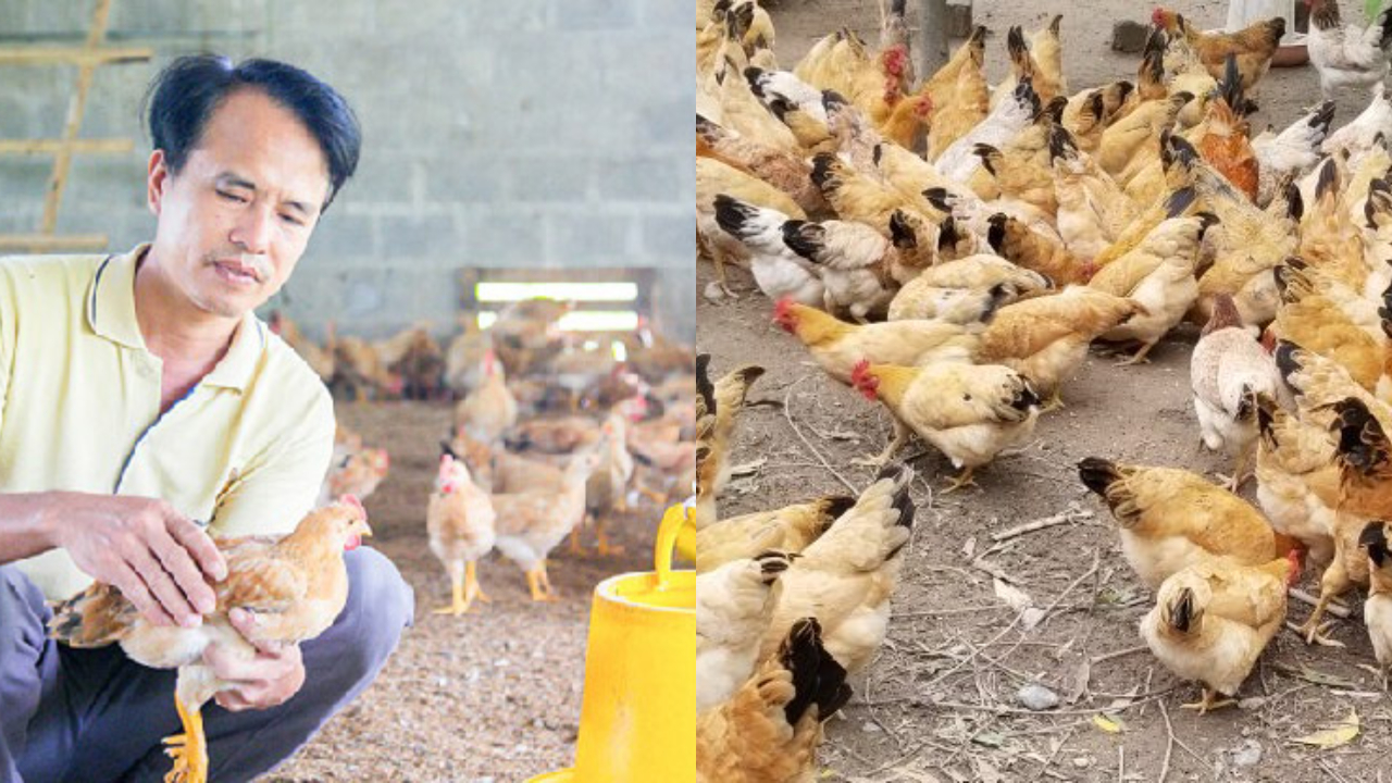 Chàng rể Quảng Trị đổi đời dựng cơ ngơi tiền tỉ sau khi được bố vợ mời ...