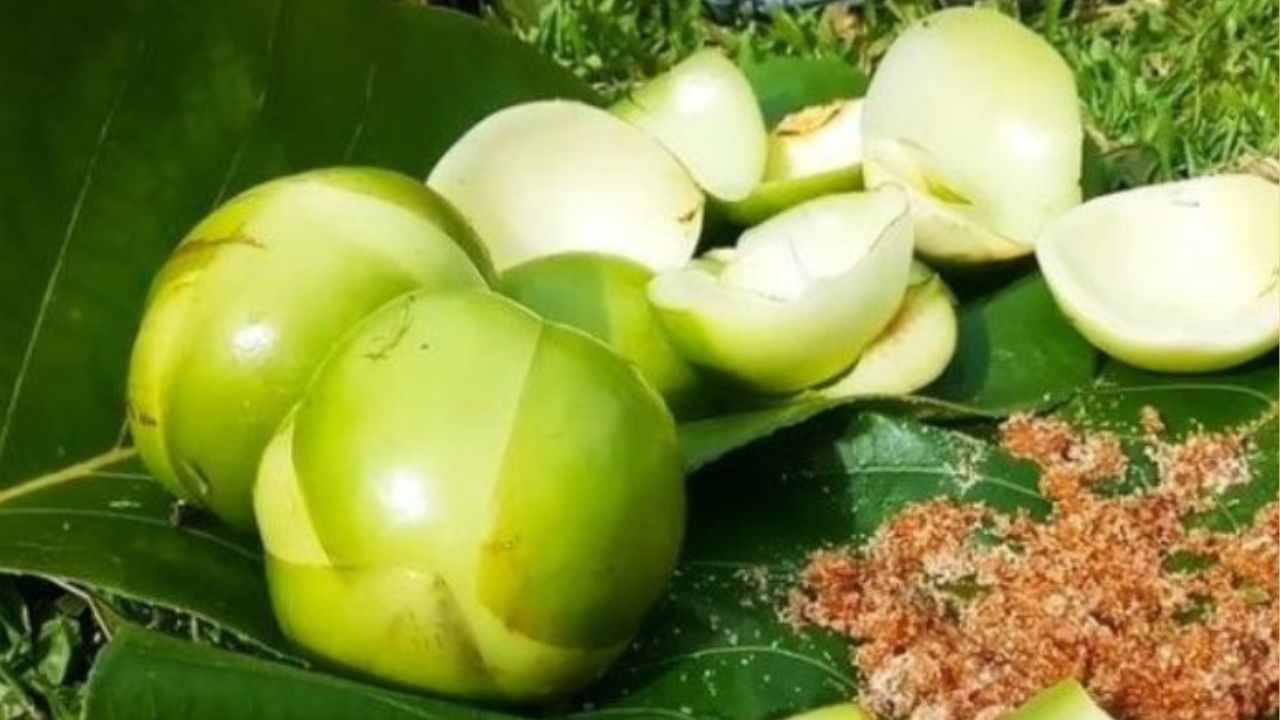 Loại quả xưa rụng đầy gốc không ai thèm nhặt, nay thành đặc sản Tây Bắc ...