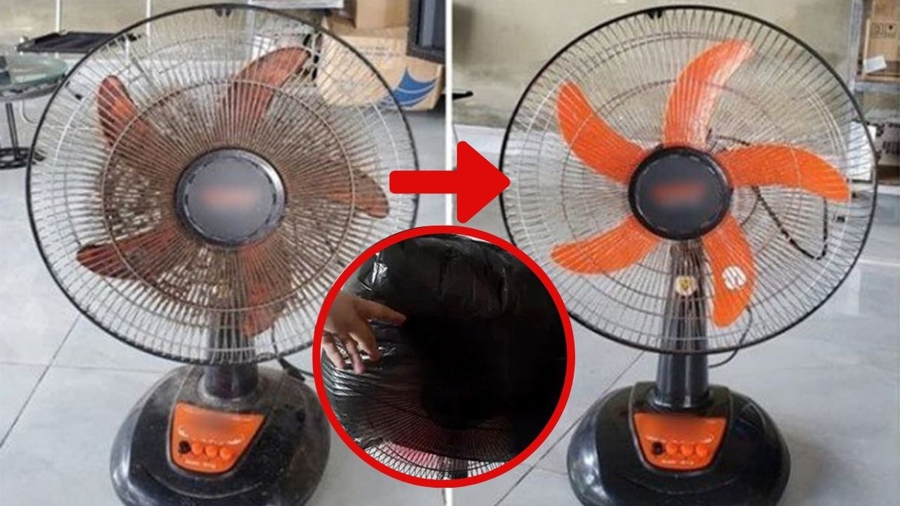 Cánh quạt điện bám đầy bụi bẩn, không cần tháo khung, có cách này bụi ...