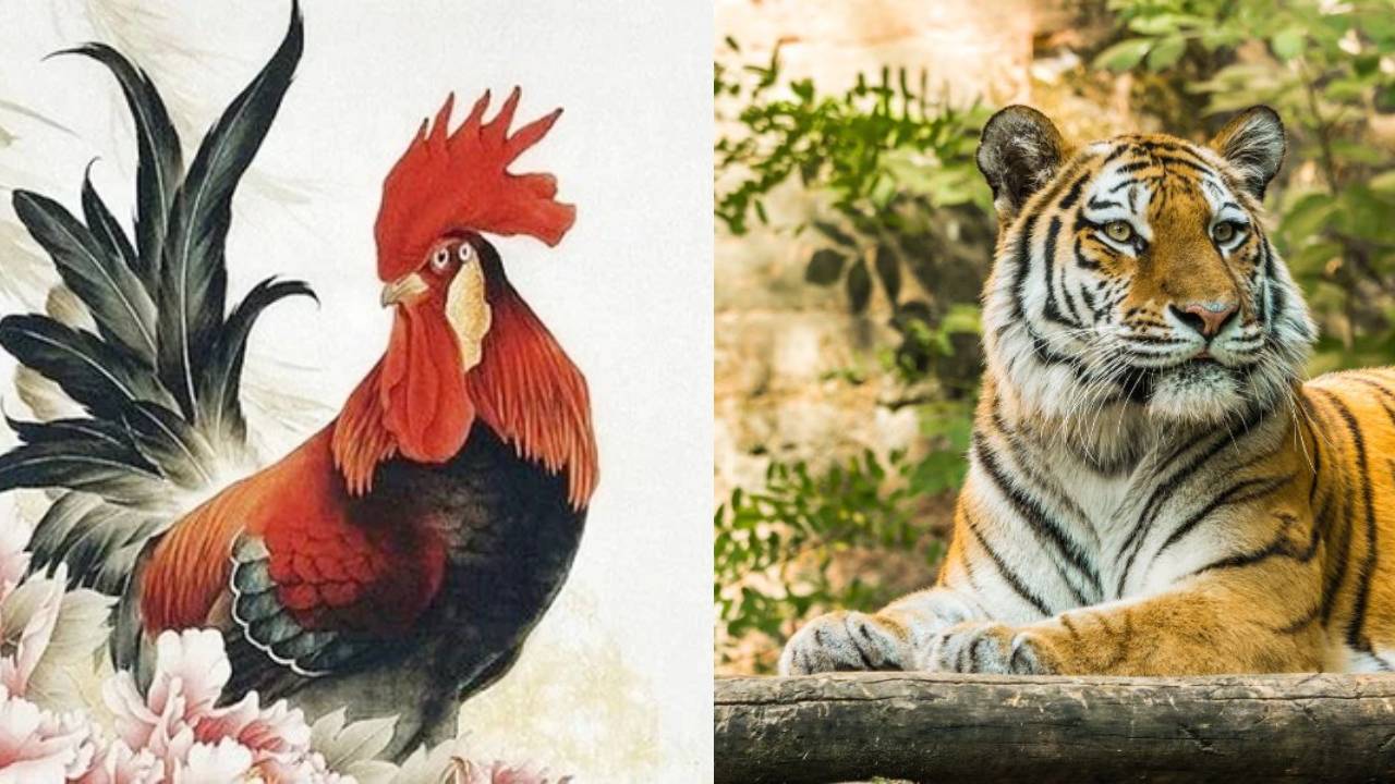 99 ngày tới: Thần tài đến cửa, 3 con giáp này được ban nhiều của cải ...